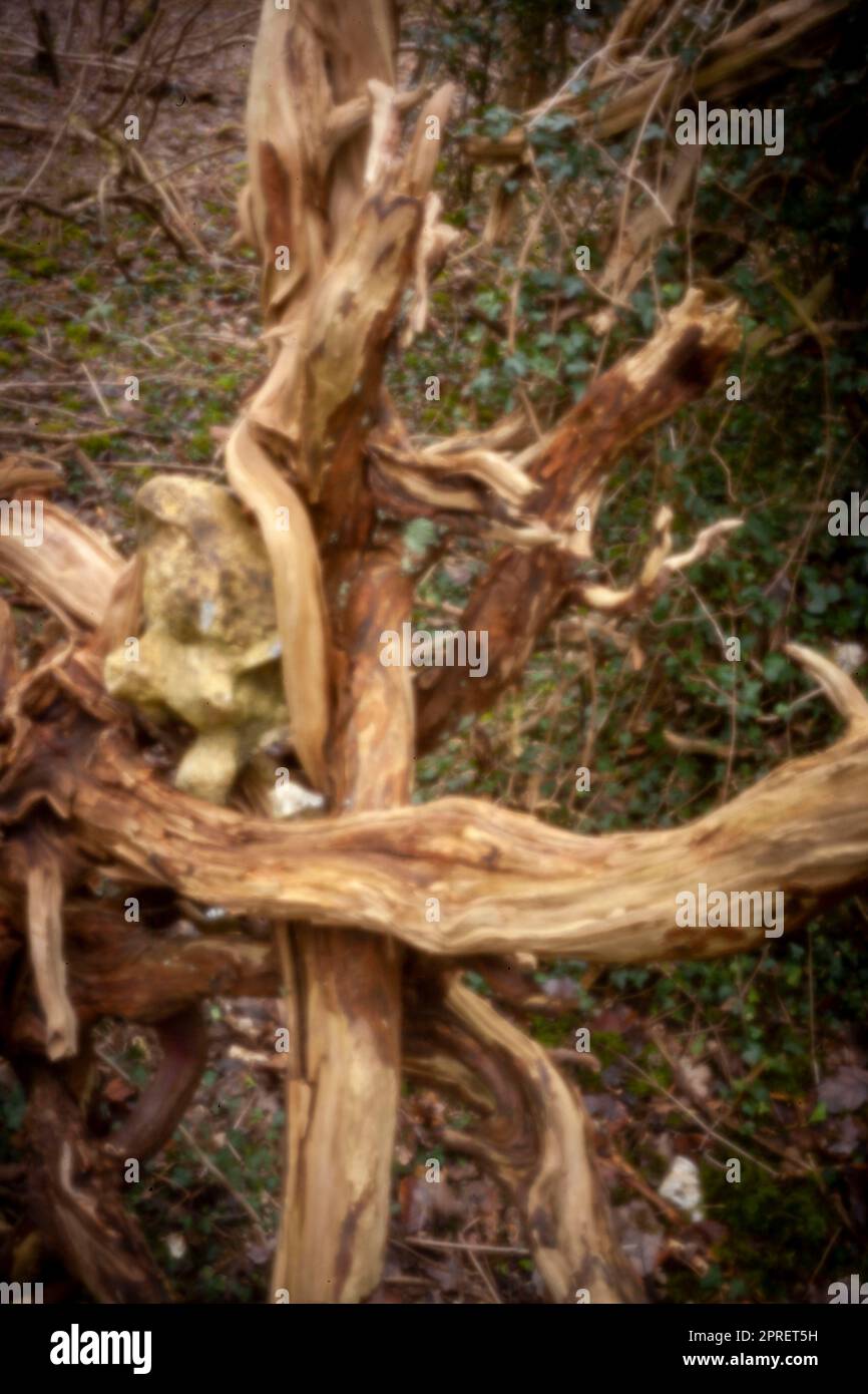 Pinhole Photography Abstract Series.New, Age-defying, digital age ...