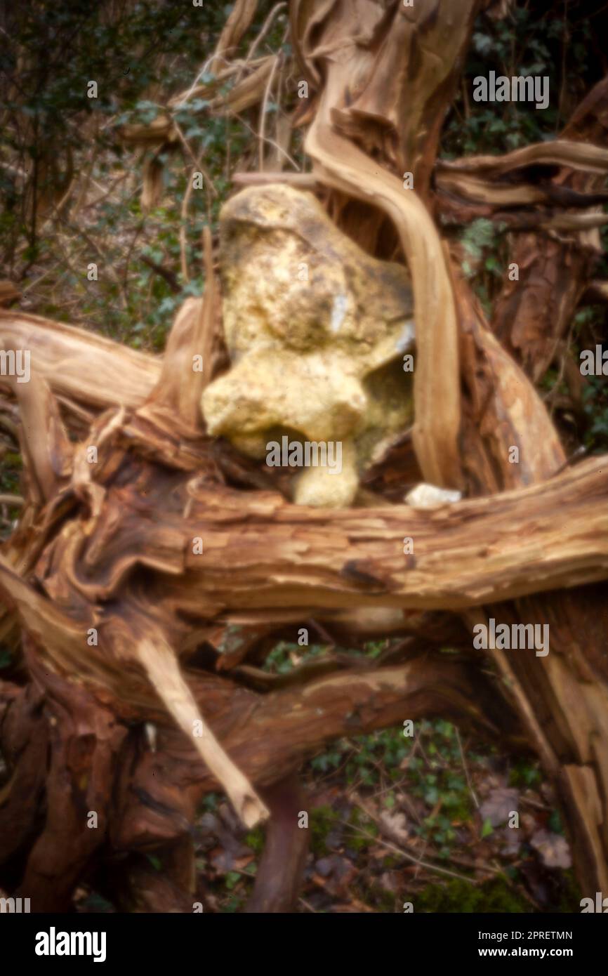 Pinhole Photography Abstract Series.New, Age-defying, digital age ...