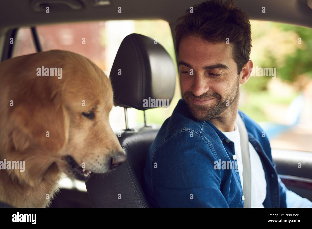 Man sleep with dog hi-res stock photography and images - Alamy
