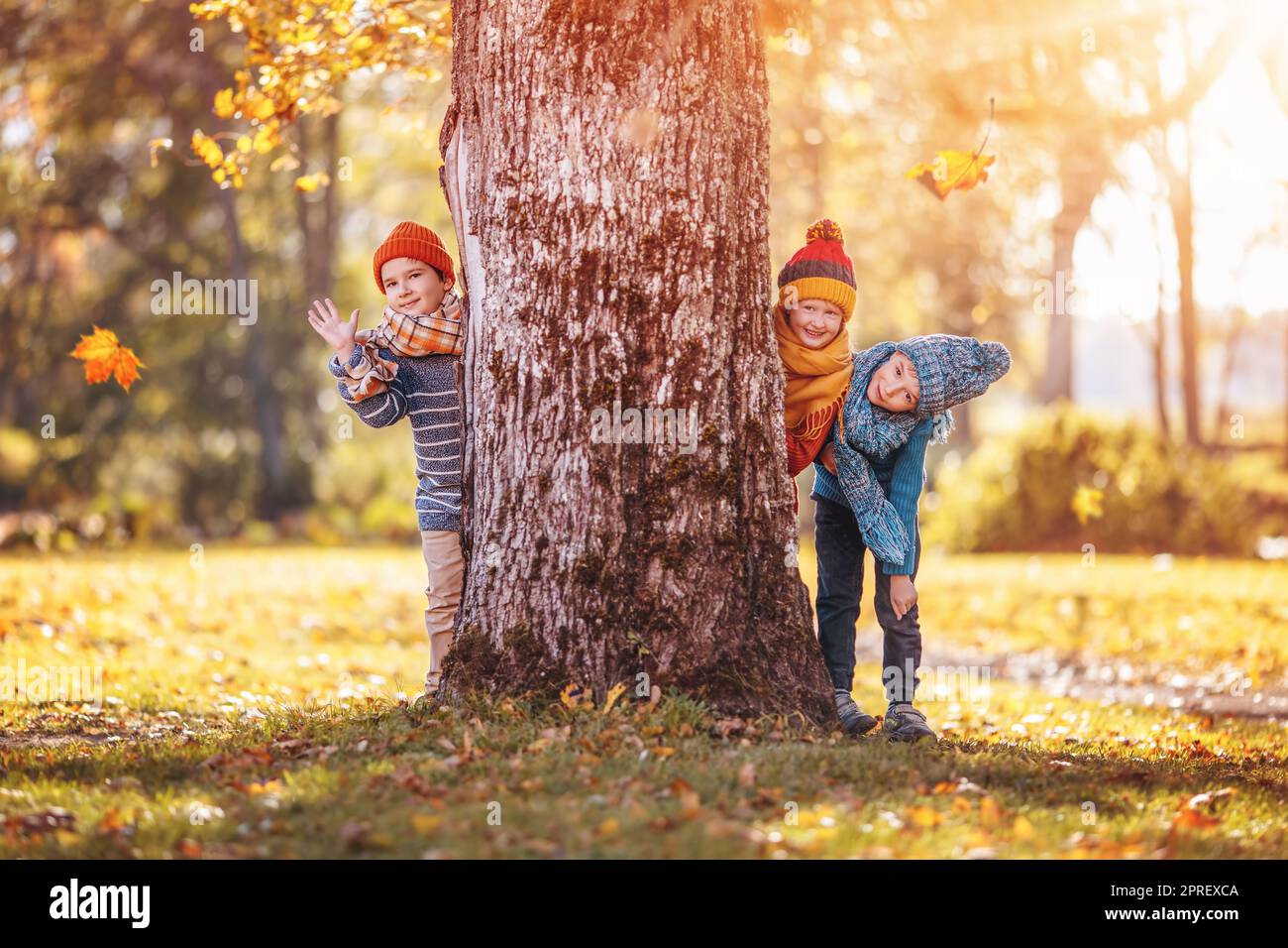 Group of children hiding behind the tree trunk. Concept of friendship ...
