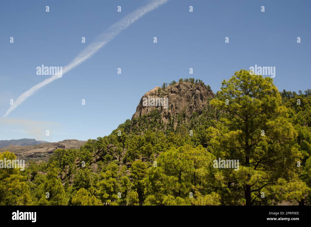 Pajonales hi-res stock photography and images - Alamy