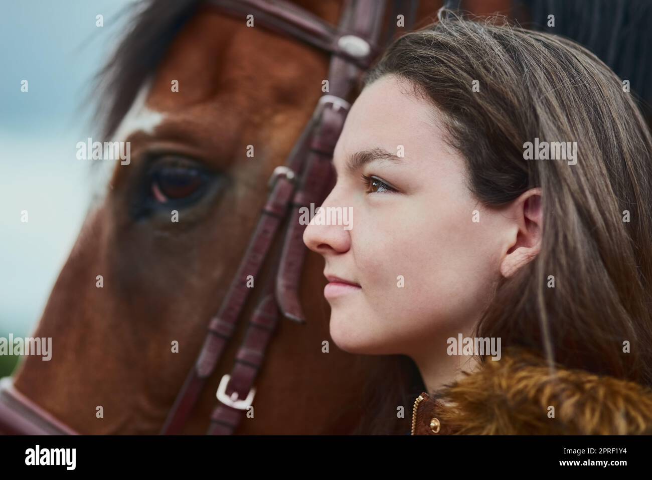 Eyes farm hi-res stock photography and images - Alamy