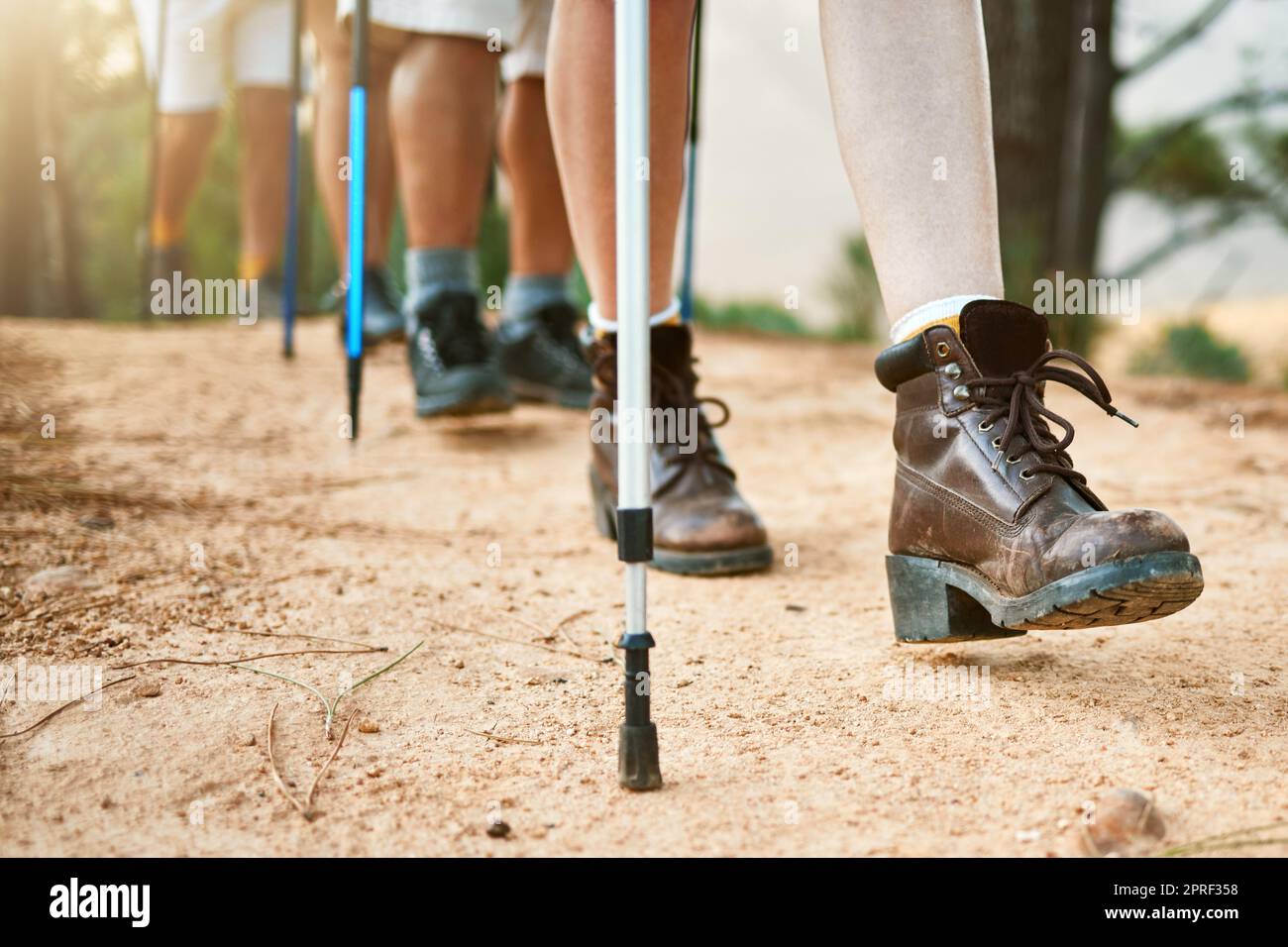 Walking sticks hi-res stock photography and images - Alamy