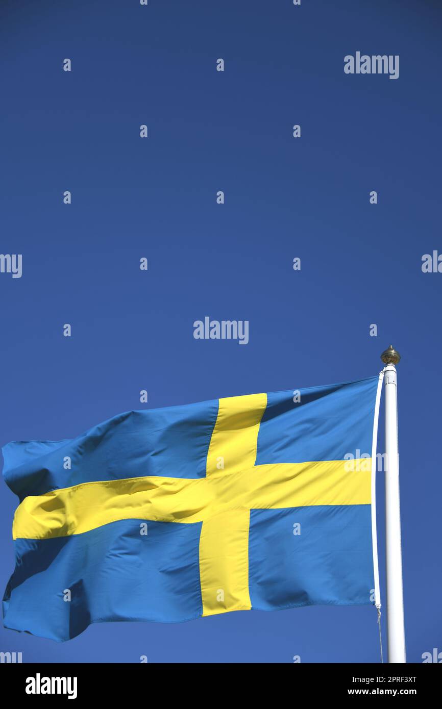 The national flag of Sweden in the colors blue and yellow waves in the wind on a flagpole. The ...