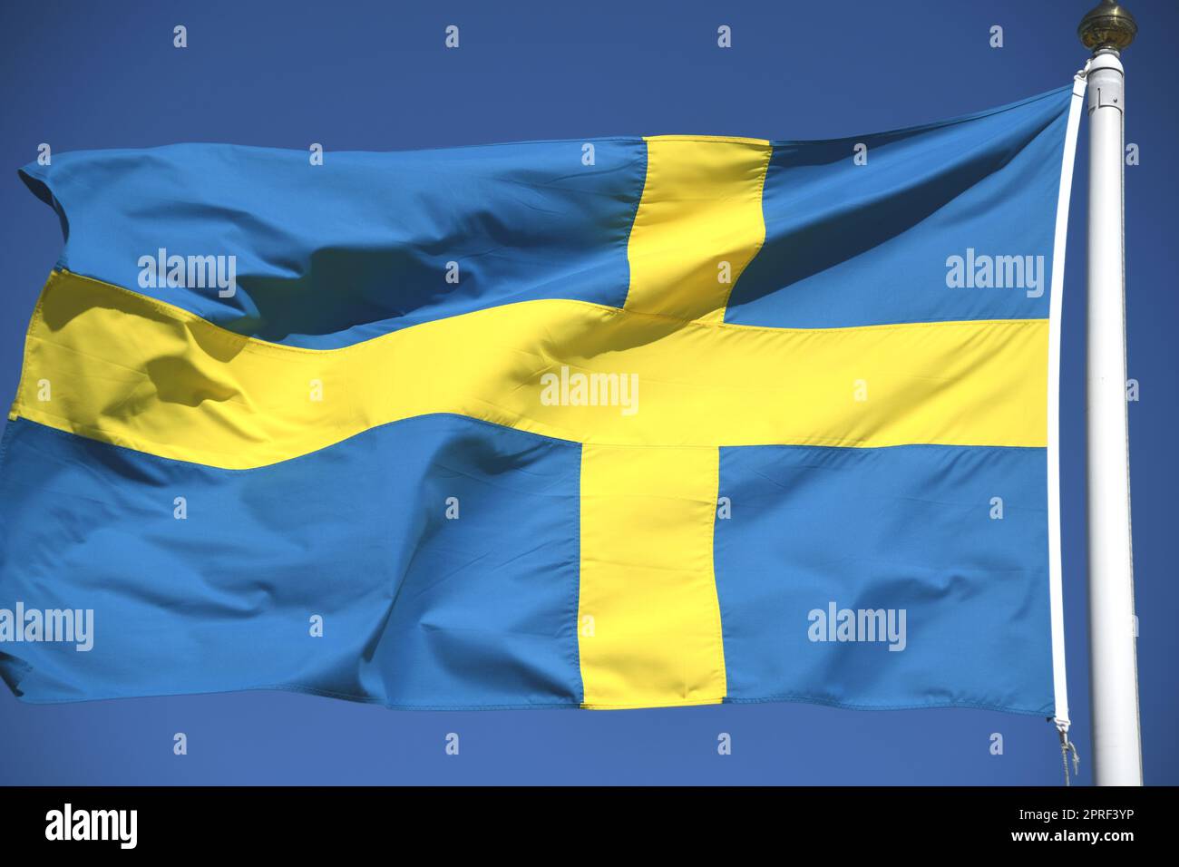 The national flag of Sweden in the colors blue and yellow waves in the wind on a flagpole. The ...