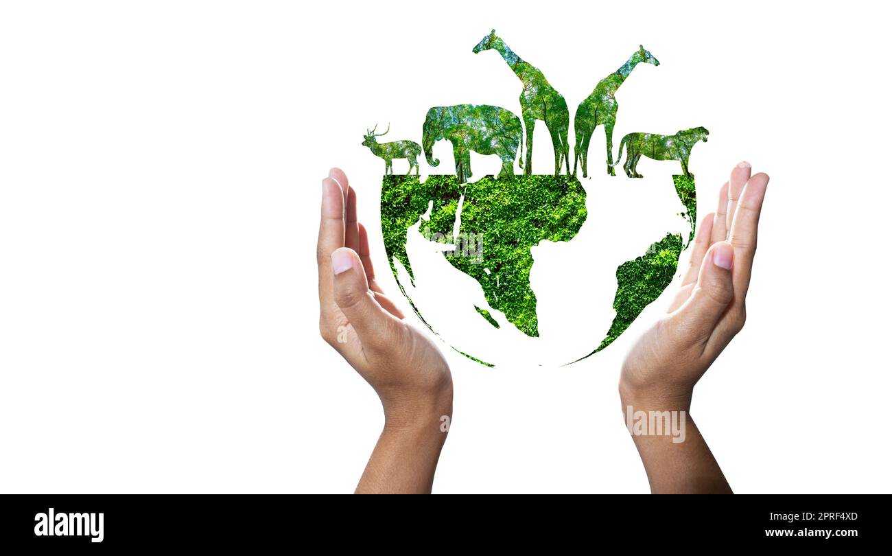 World Animal Day World Wildlife Day Groups of wild beasts were gathered ...