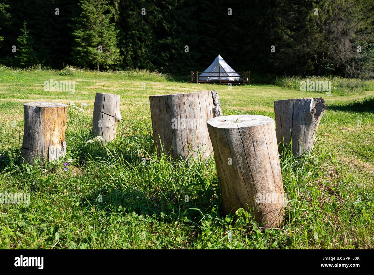 Rustic garden seat log hi-res stock photography and images - Alamy