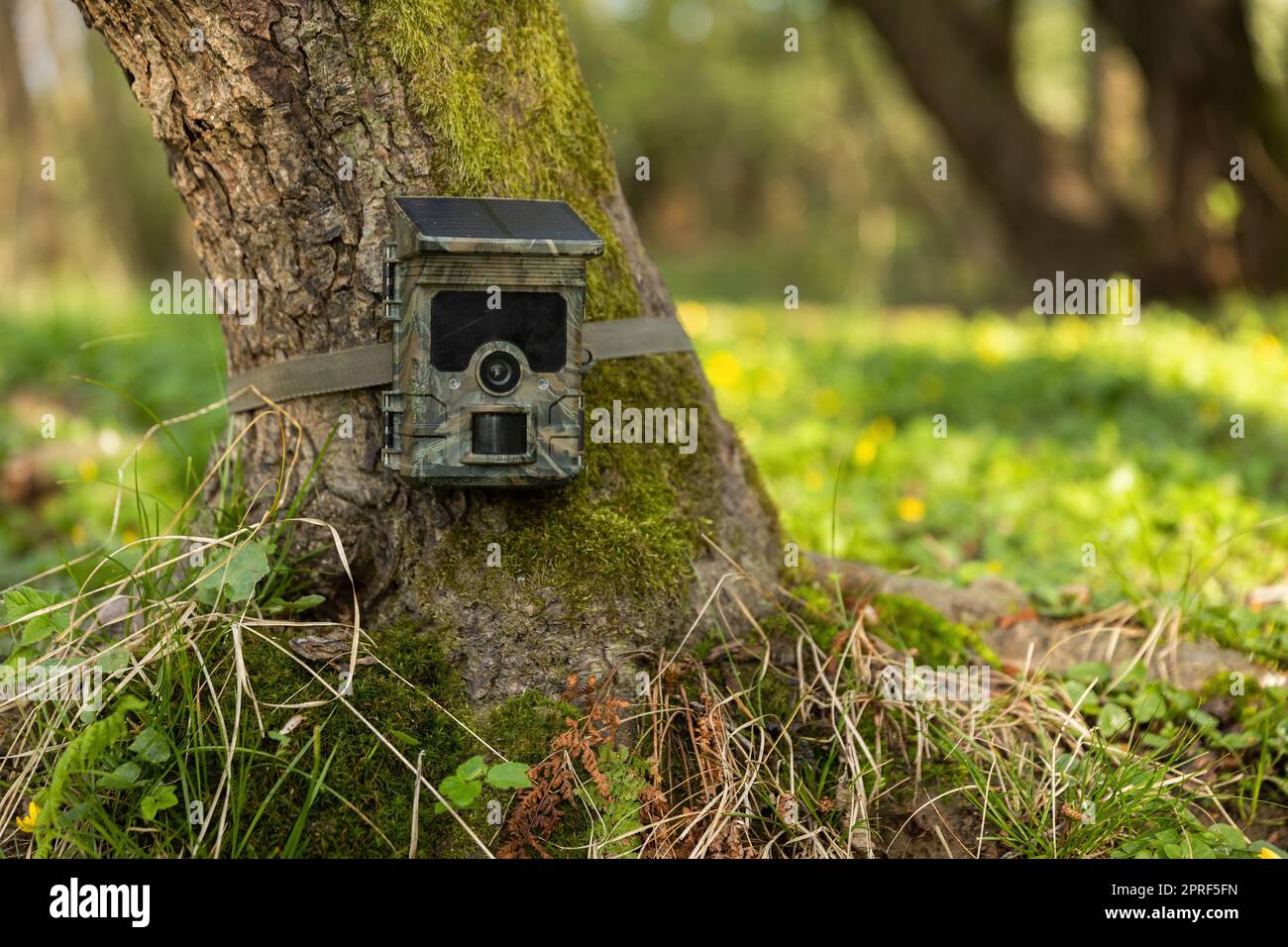 Camera trap with integrated solar panel charging internal battery while ...