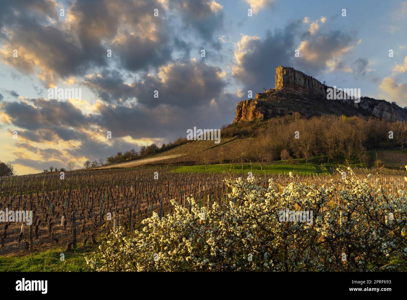 Rock of Solutre with vineyards, Burgundy, Solutre-Pouilly, France Stock ...
