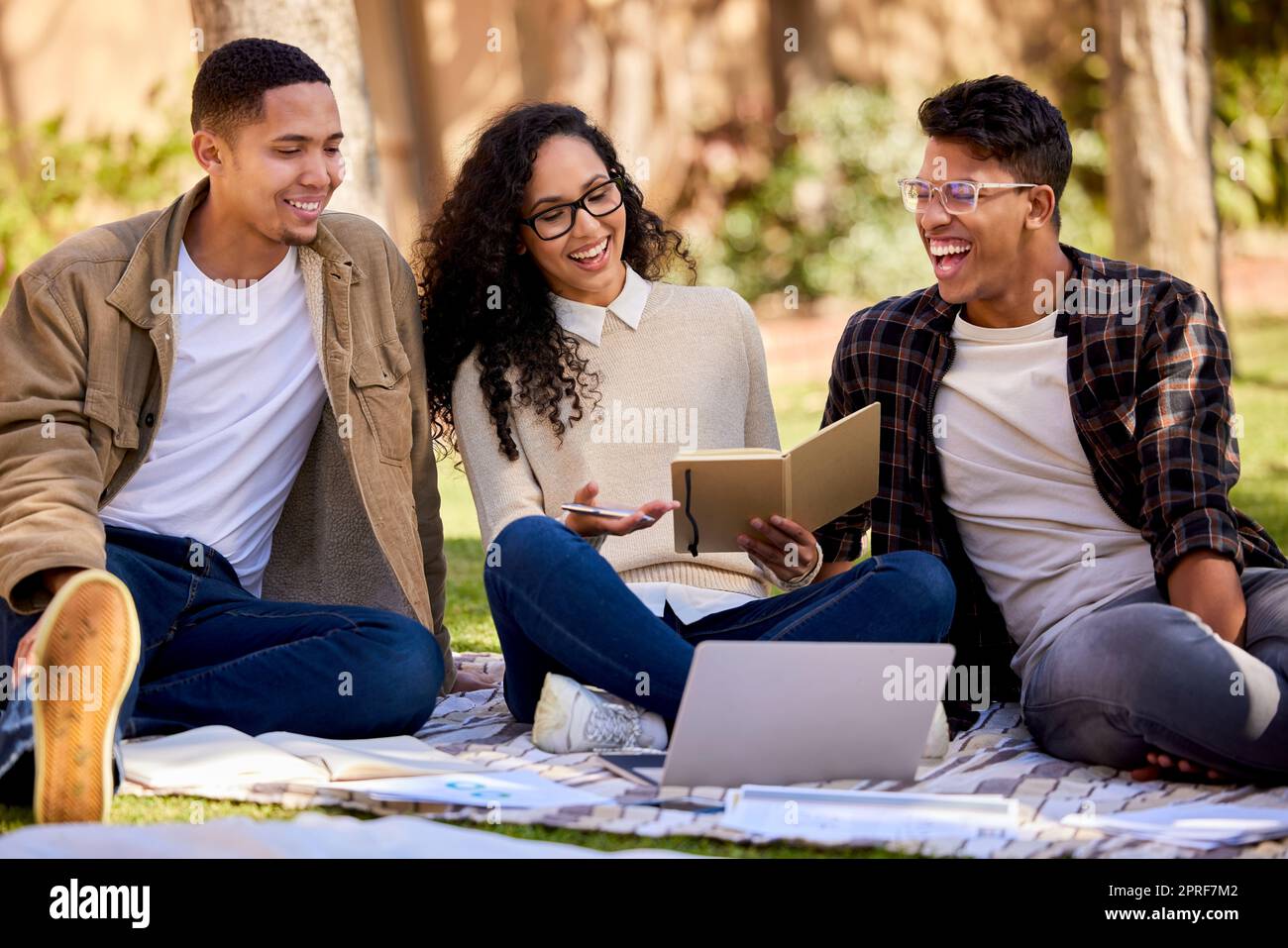 Common goals. a group of students studying together while sitting on ...