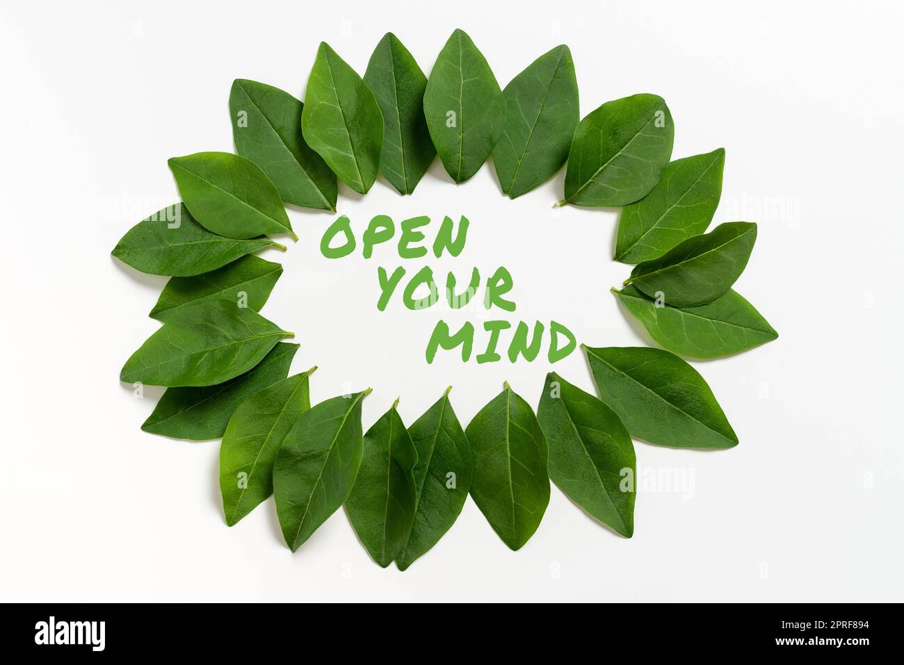 Text caption presenting Open Your Mind. Concept meaning Be openminded ...