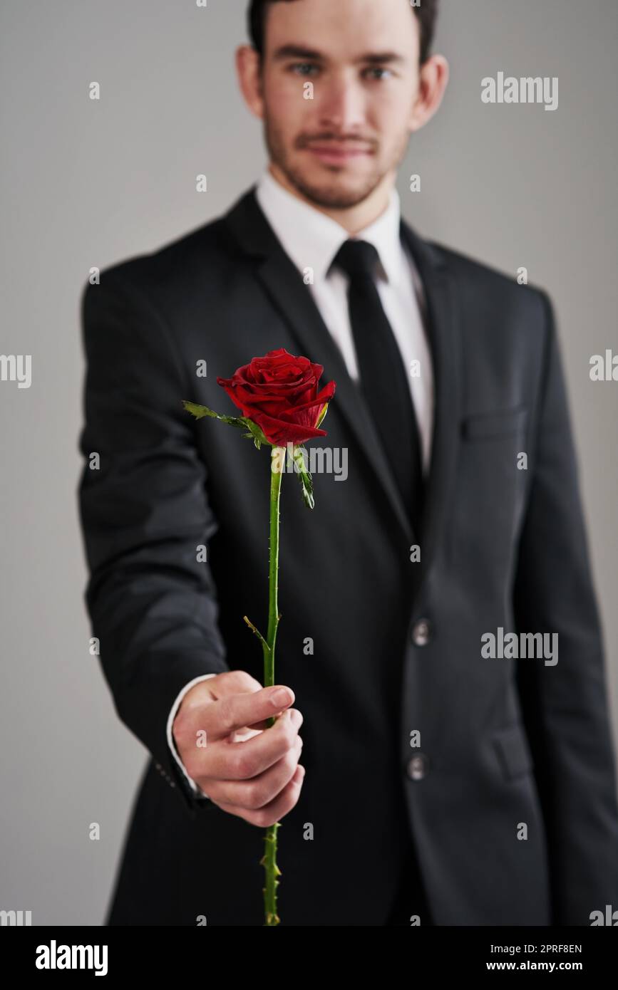 Stylish red rose hi-res stock photography and images - Alamy