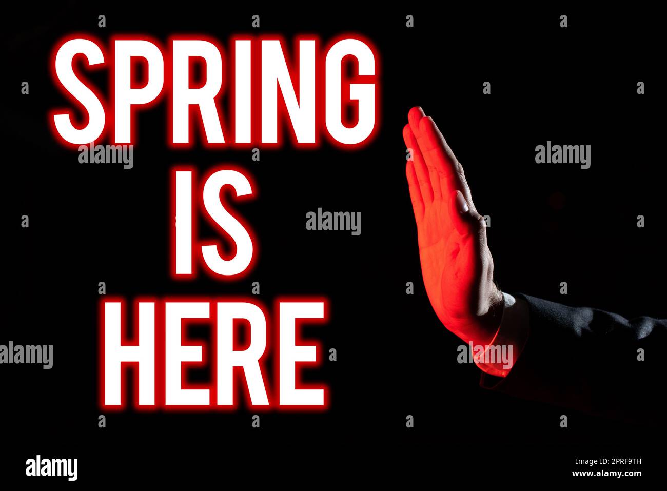 Inspiration showing sign Spring Is Here. Business approach After winter ...