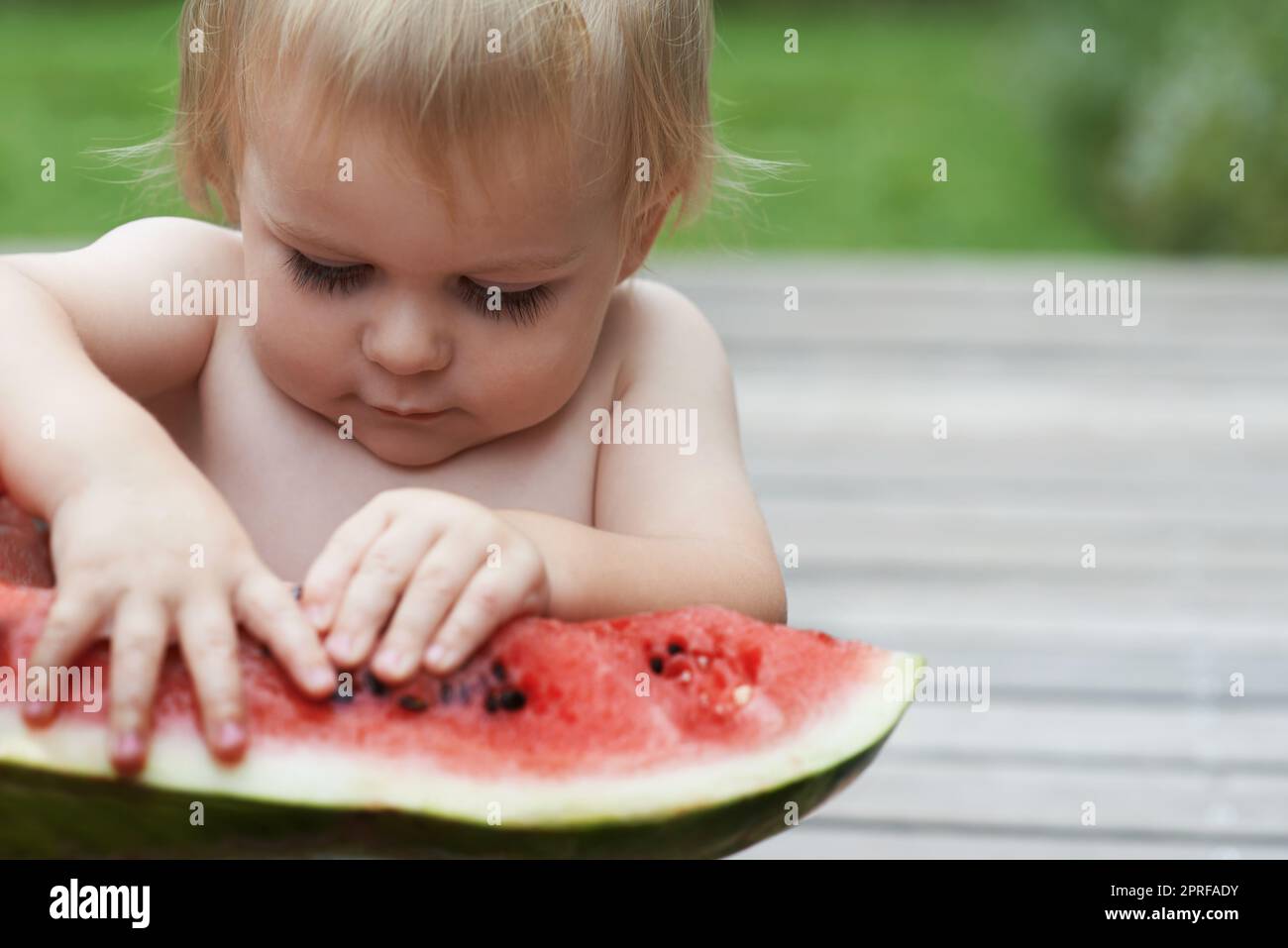 Must...pull...apart...A toddler using his hands to take apart a ...