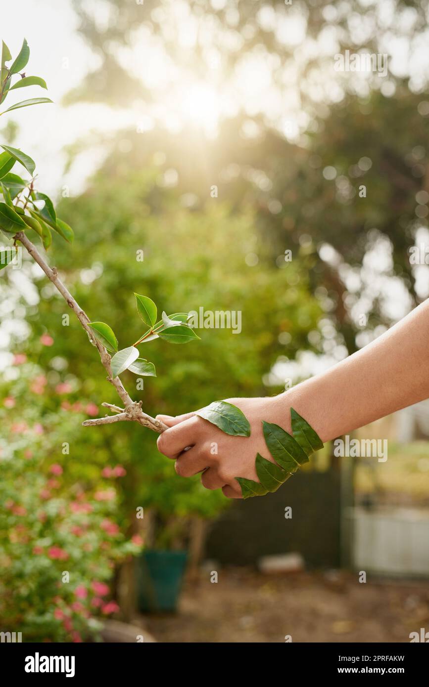 Hand shaking garden hi-res stock photography and images - Alamy