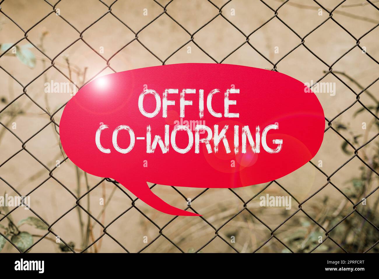 Text caption presenting Office Co Working. Business showcase Business ...