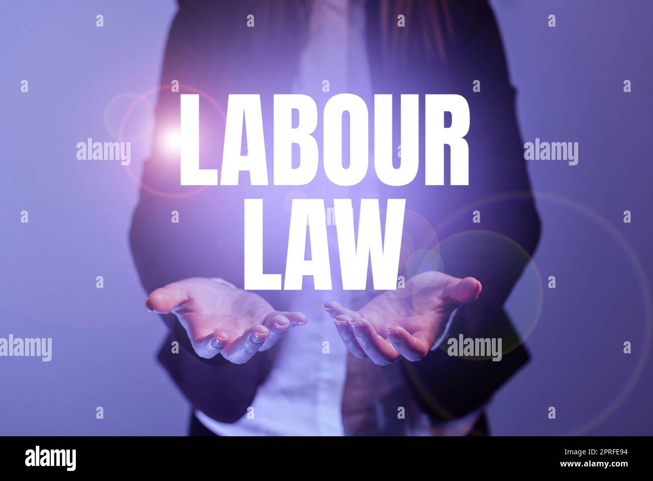 Conceptual display Labour Law, Concept meaning Rules implemented by the ... Conceptual display Labour Law, Concept meaning Rules implemented by the ...
