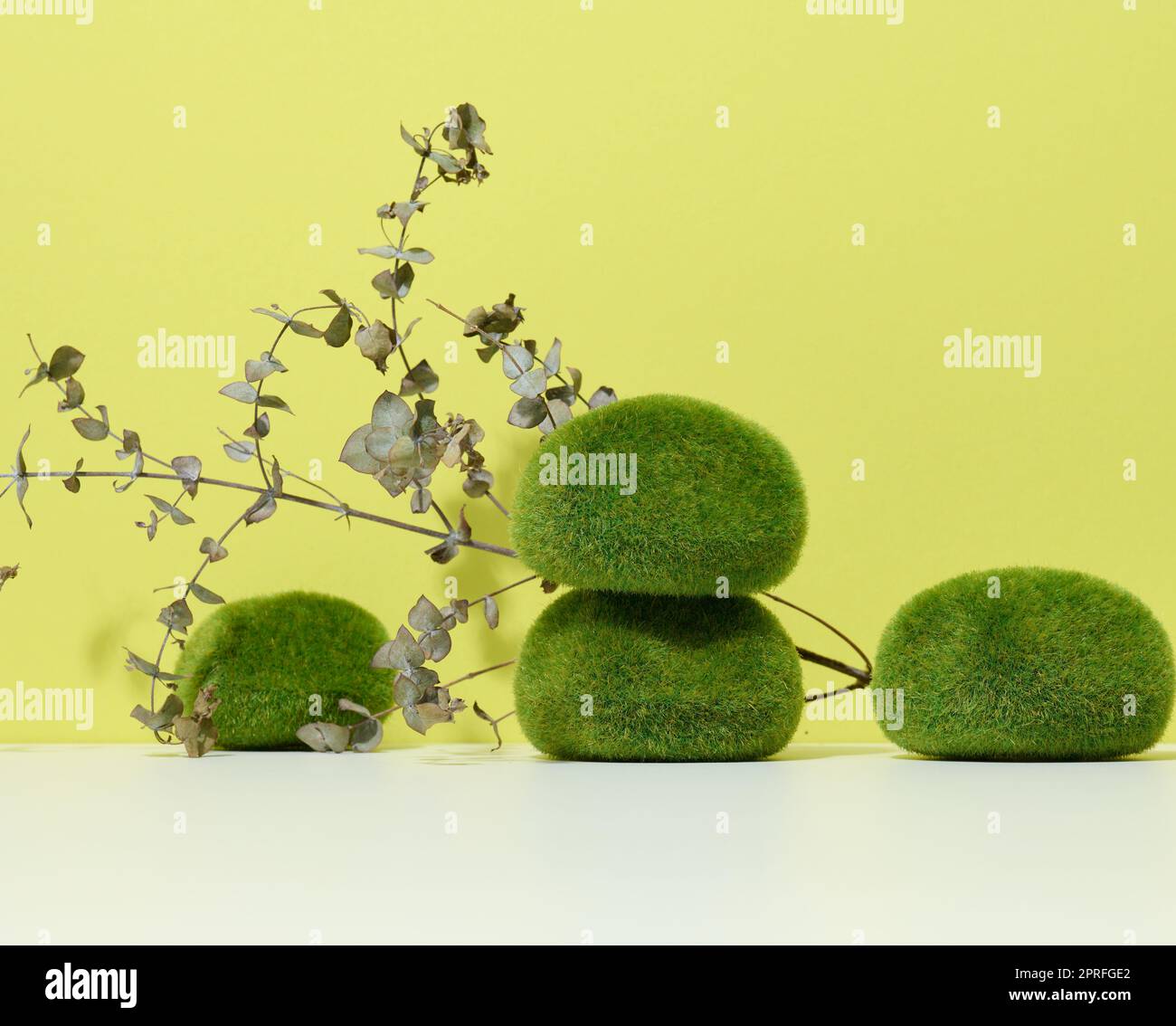 Green pieces of moss and a stage for the demonstration of products ...