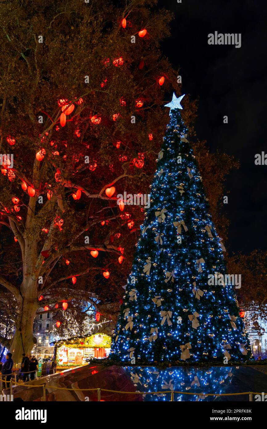 Christmas tree in Vienna, Austria Stock Photo - Alamy