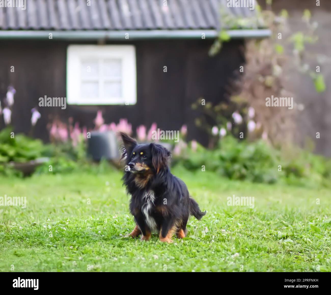 Friendly adult hi-res stock photography and images - Alamy