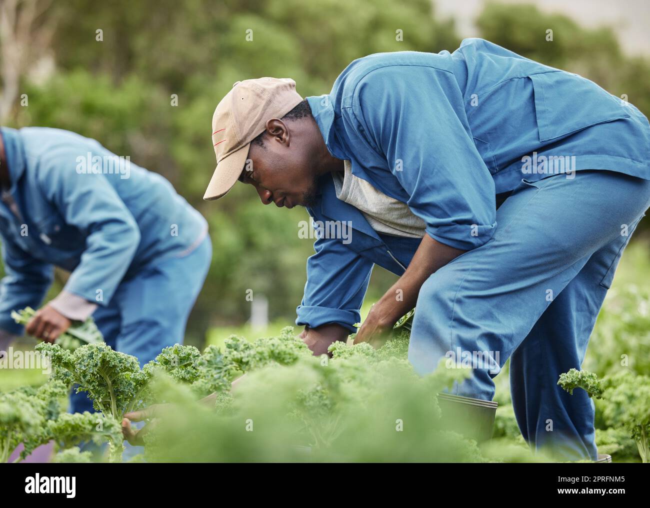 Culture sustainability hi-res stock photography and images - Alamy