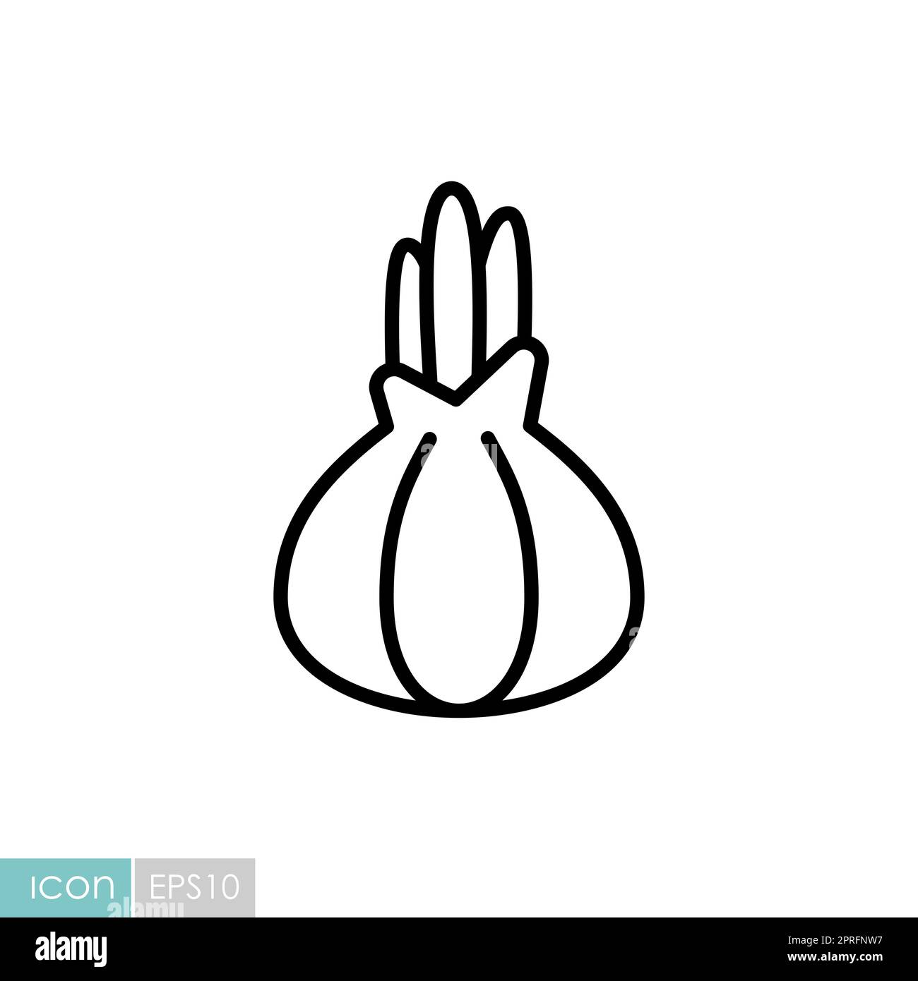Onion isolated design vector icon. Vegetable sign. Graph symbol for ...