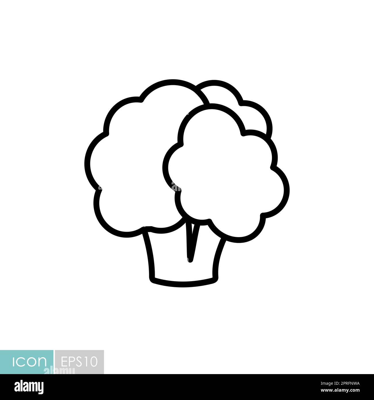 Cauliflower isolated vector icon. Vegetable sign. Graph symbol for food ...