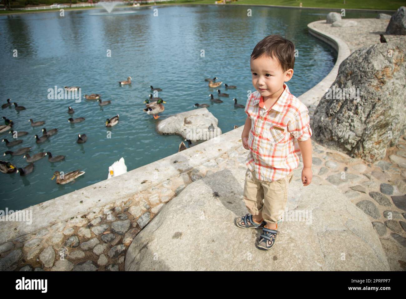 Young Chinese and Caucasian Boy Having Fun at the Park and Duck Pond ...
