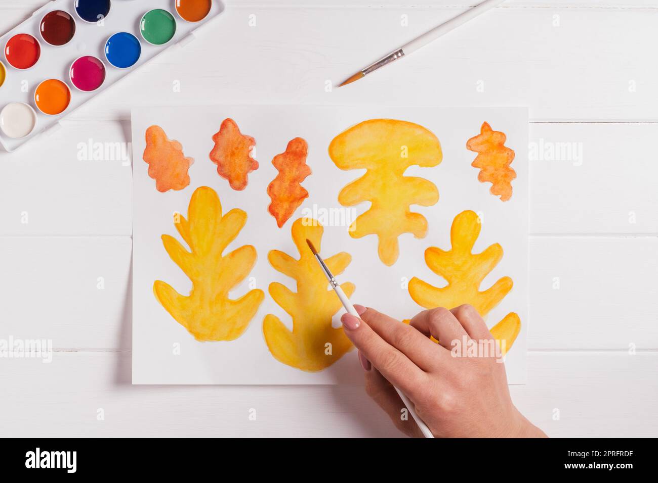 Female hand drawing autumn leaves of different shapes, sizes and colors ...