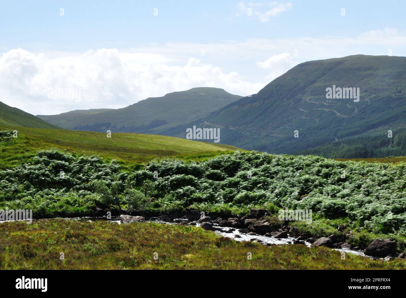 Auf der Isle of Sky sind die Ferry Pools ein beliebter Ausflugsort ...