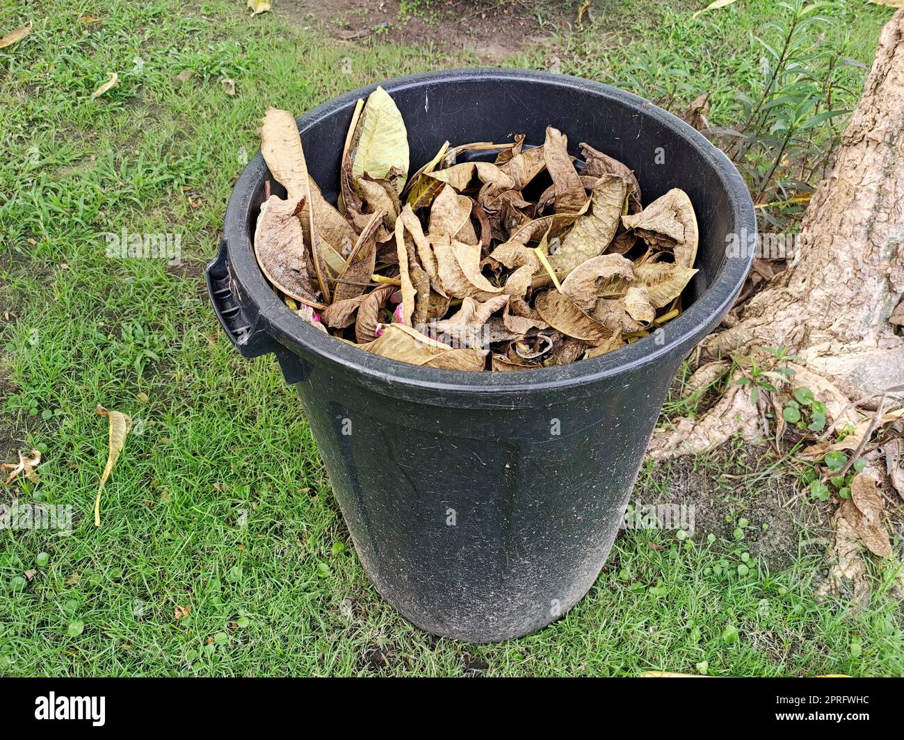 Organic waste leaves dustbin hi-res stock photography and images - Alamy