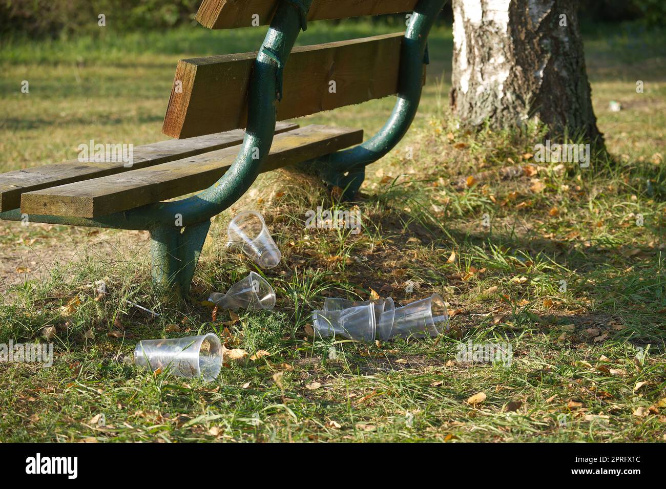 Pile of disposable cups alongside a wooden bench Stock Photo - Alamy