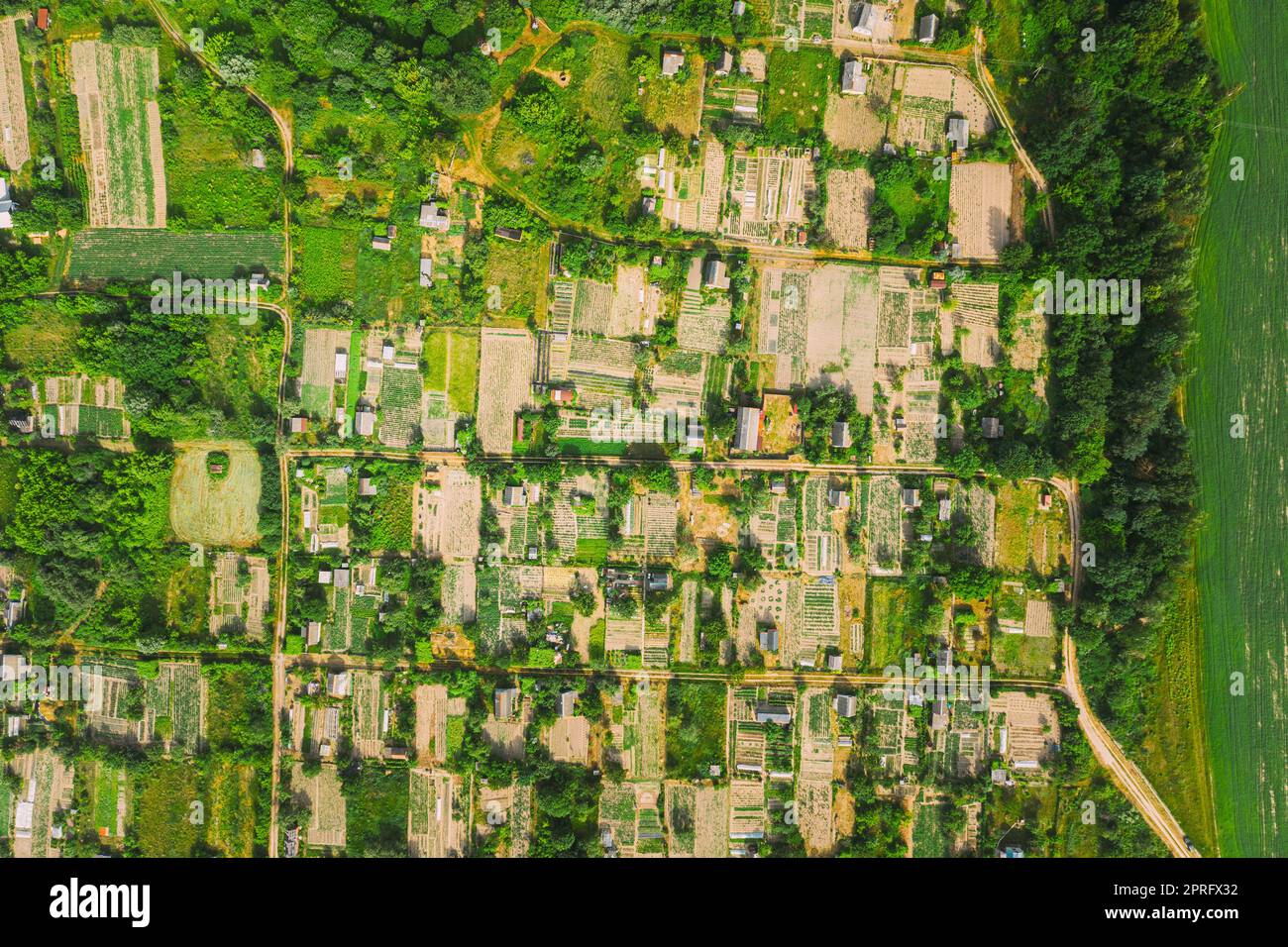 Aerial View Of Vegetable Gardens In Small Town Or Village. Skyline In ...