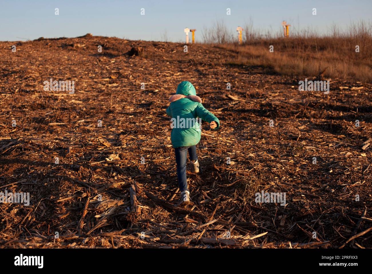 Child runs through forest clearing. Little girl in empty space ...