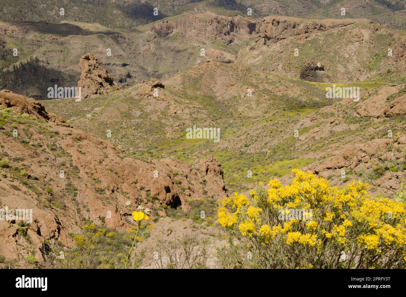 San bartolomé de tirajana hi-res stock photography and images - Alamy
