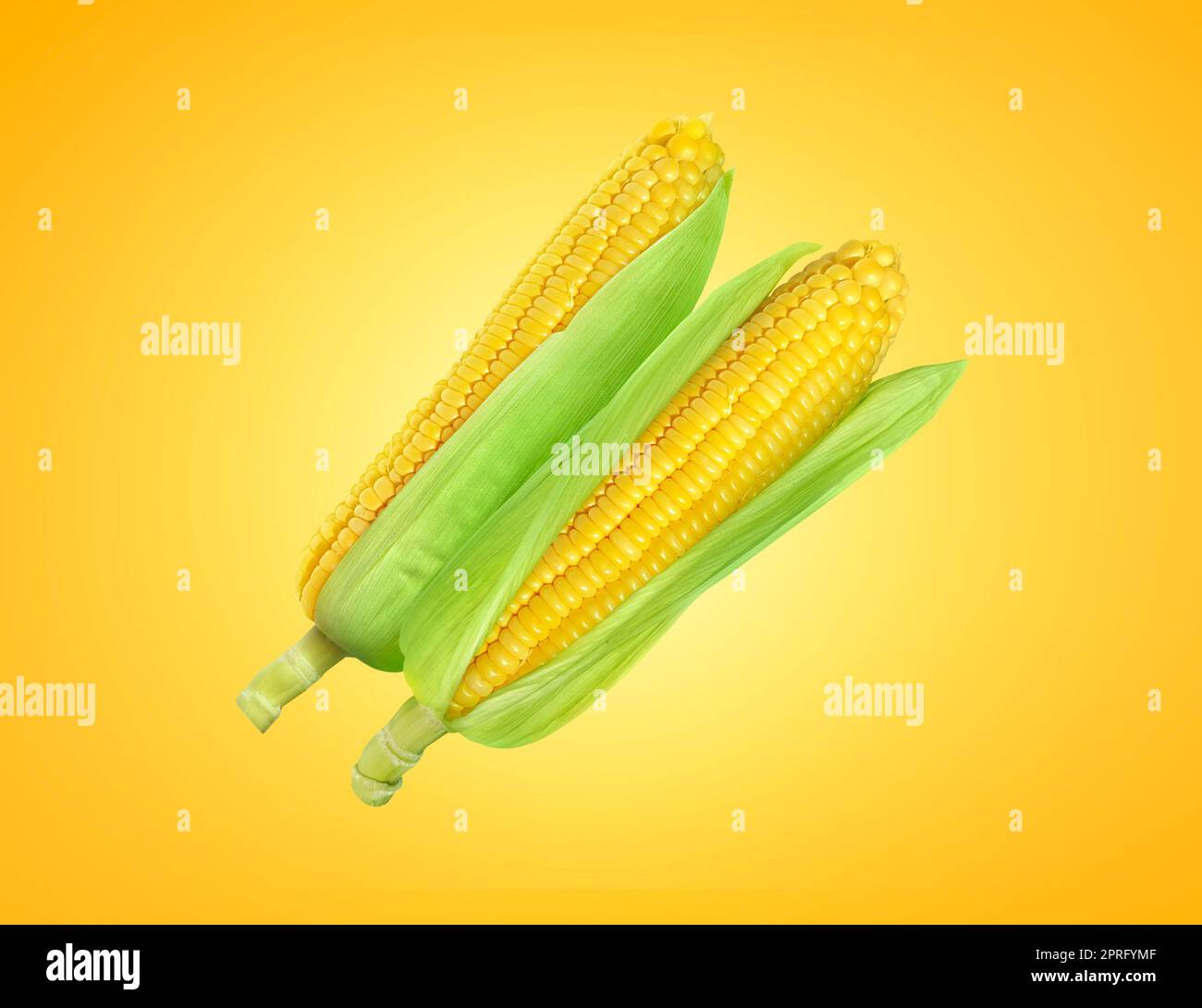 Corn fresh on yellow gold background Stock Photo - Alamy