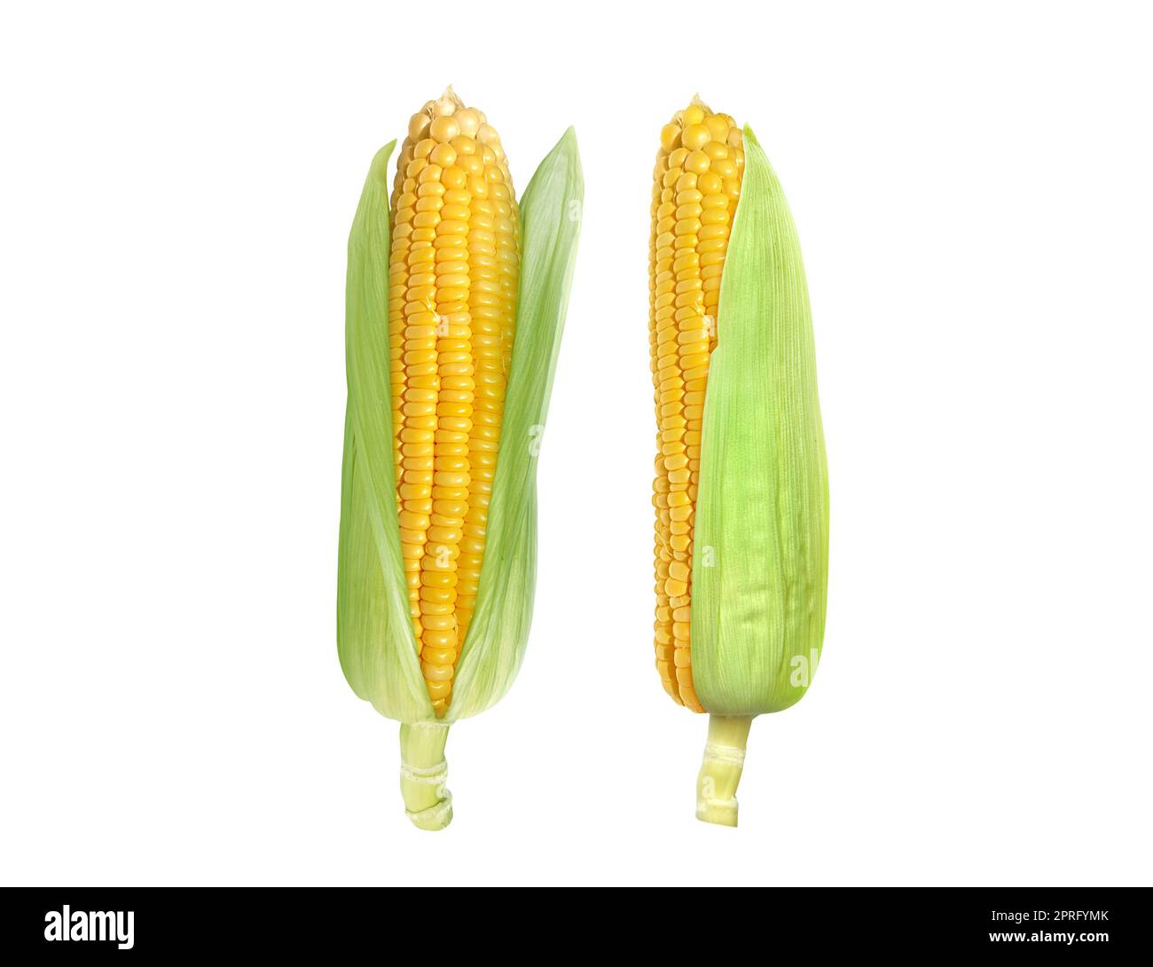 Corn isolated on white background Stock Photo - Alamy