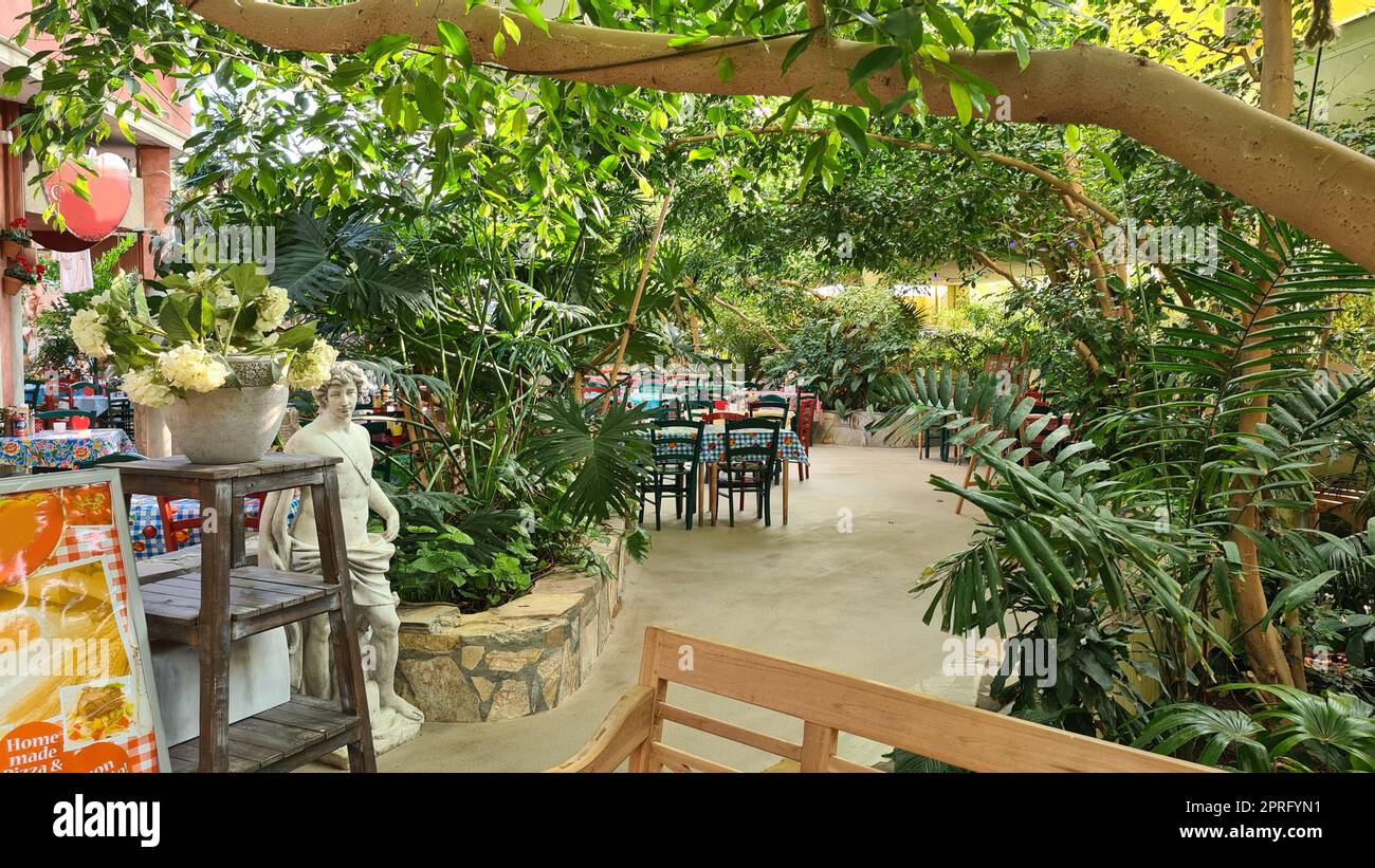 Tropical rainforest in Asia Stock Photo - Alamy