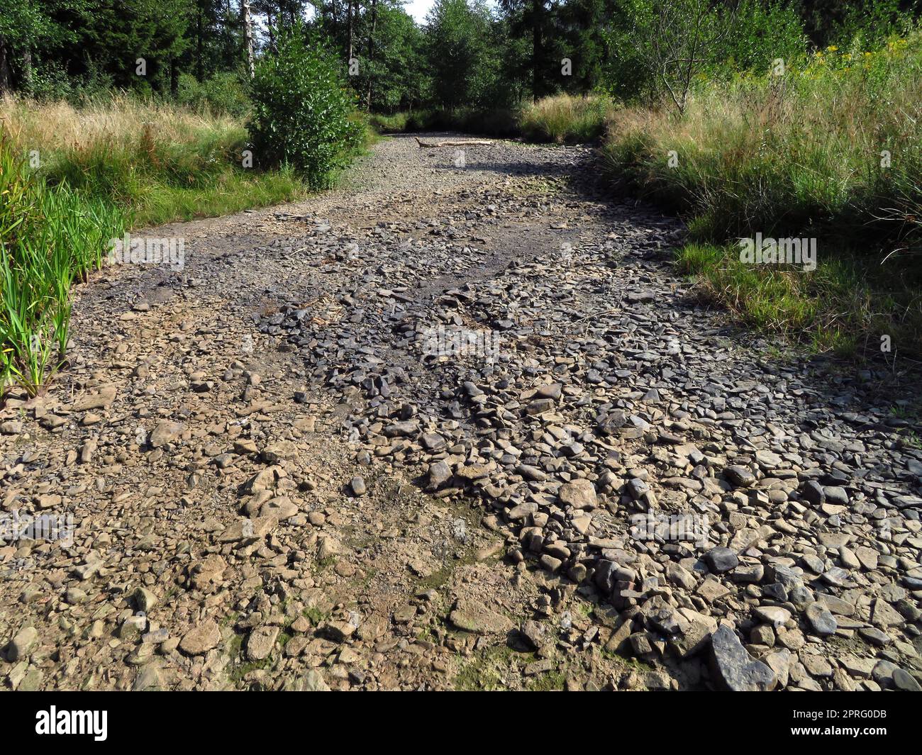 Dried out brook bed hi-res stock photography and images - Alamy