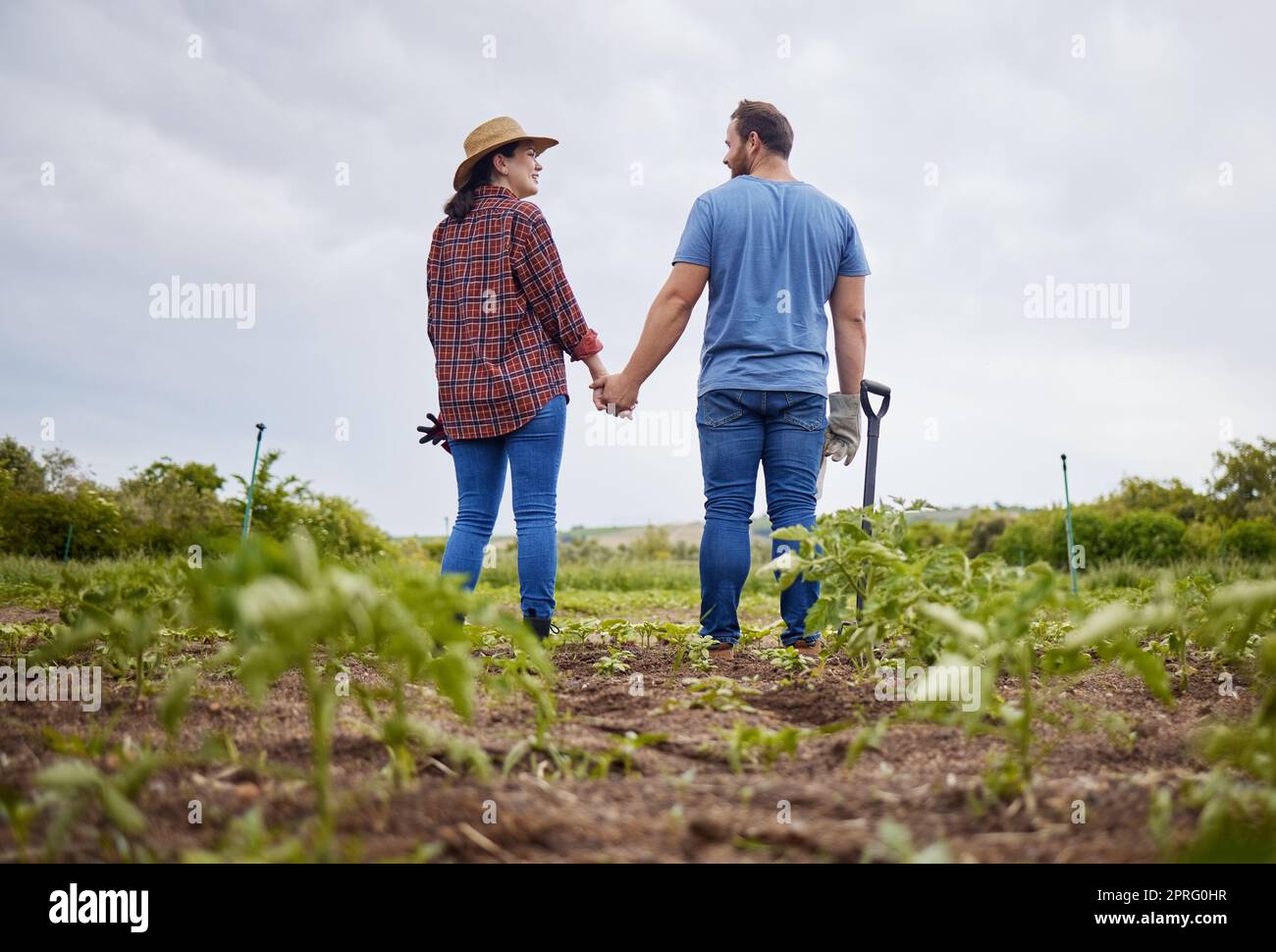 Man vegetable outdoor hi-res stock photography and images - Alamy