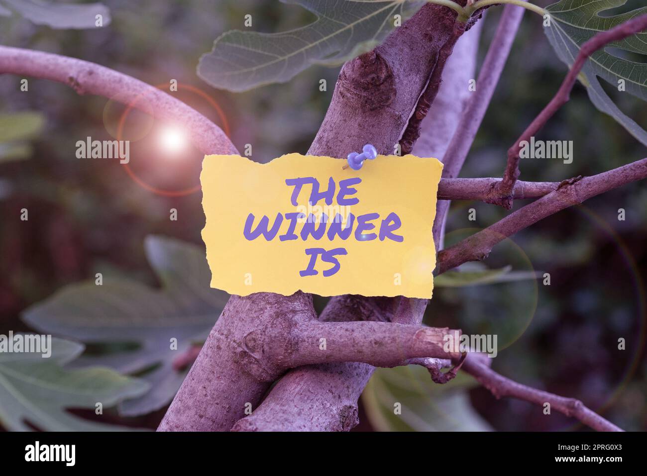 Conceptual caption The Winner Is.... Business showcase Announcing who ...