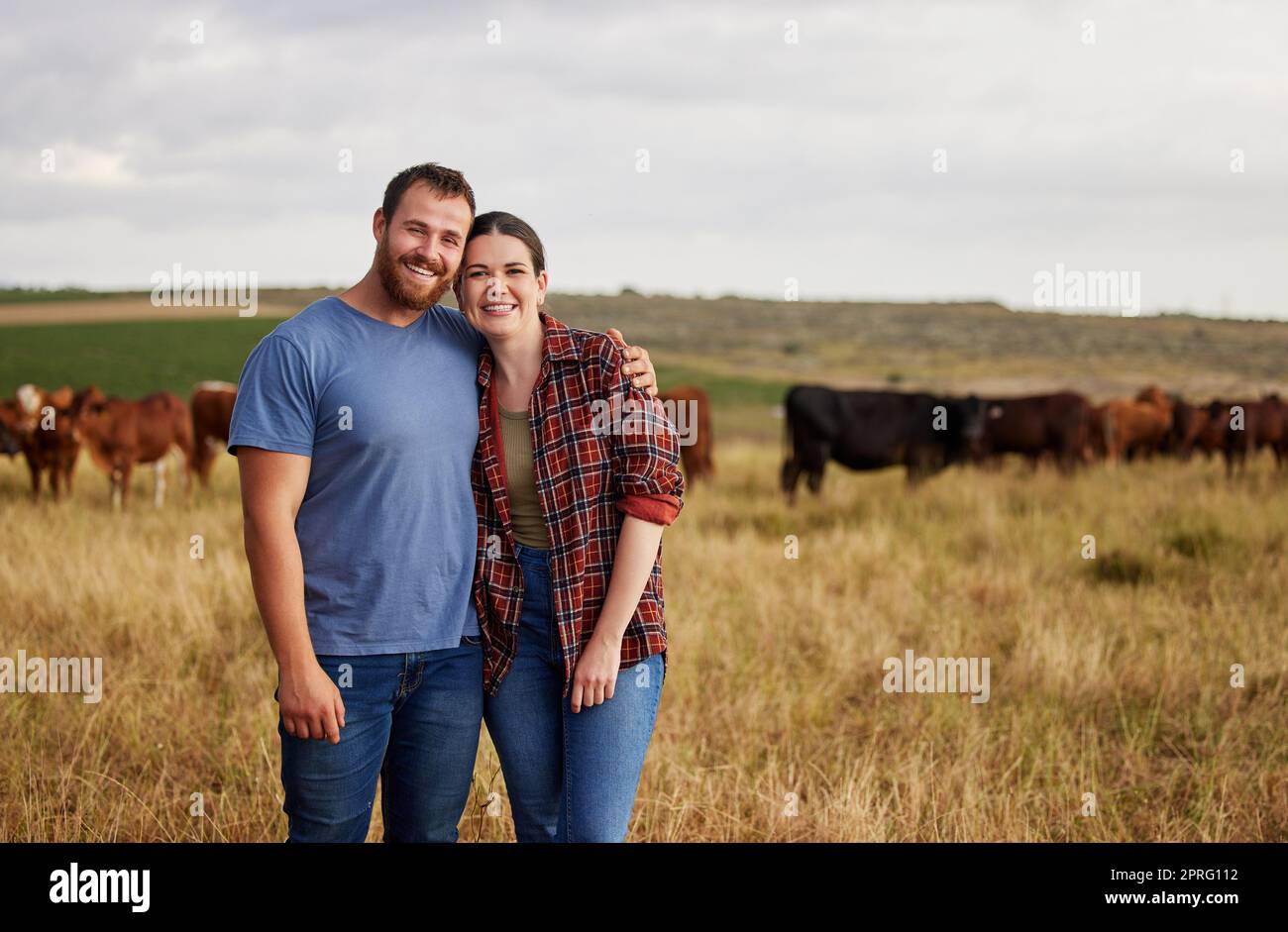 Animals working together hi-res stock photography and images - Alamy