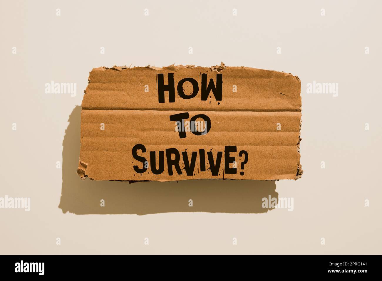 Handwriting text How To Survive. Conceptual photo Recommendations to ...