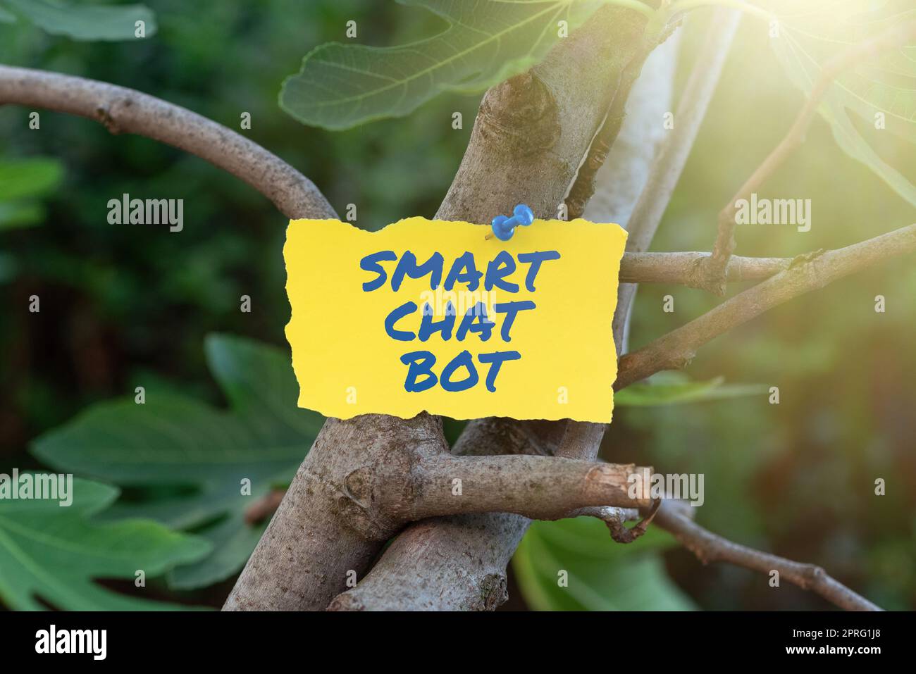 Text caption presenting Smart Chat Bot. Conceptual photo Artificial ...