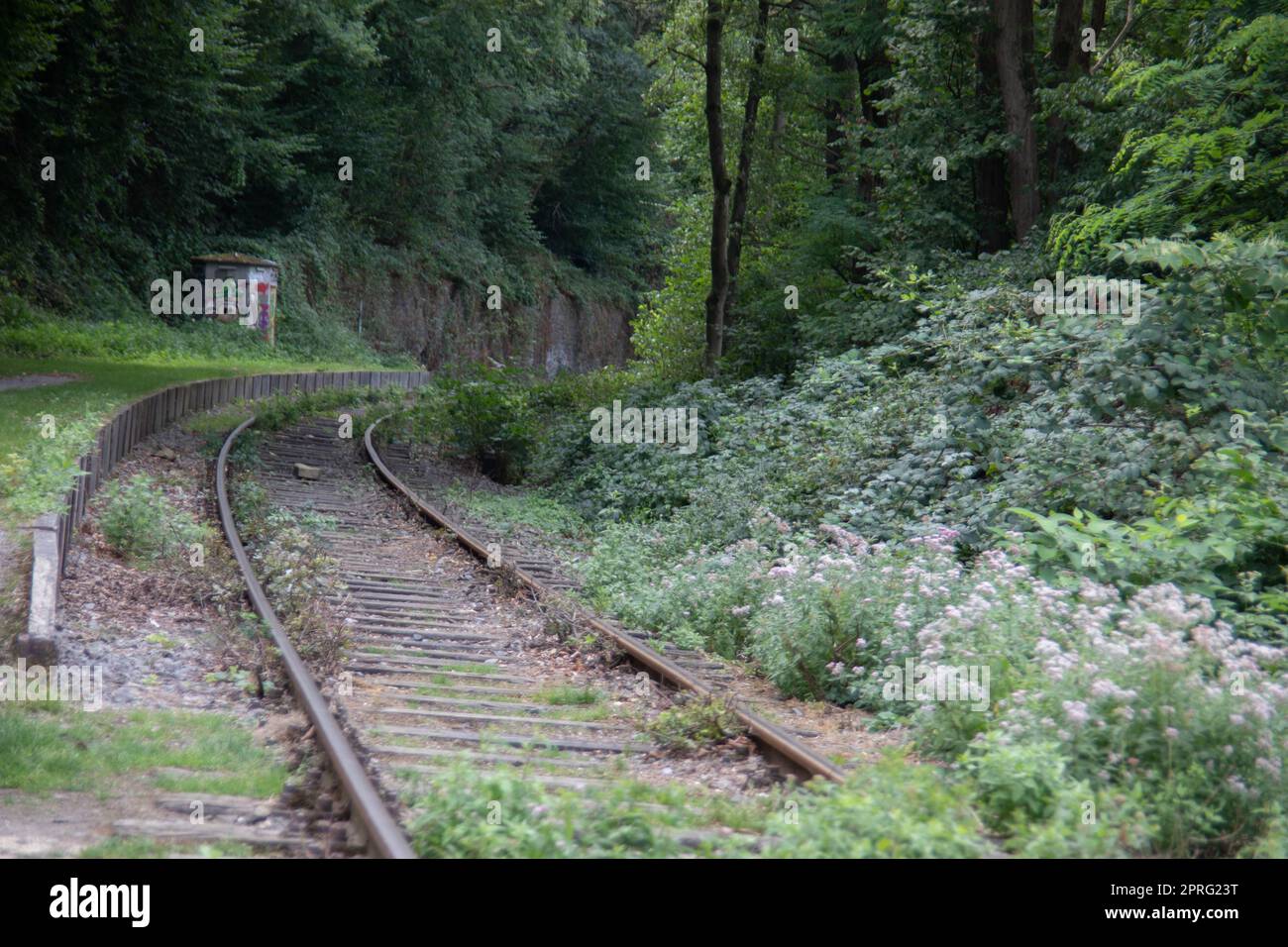 overgrown disused railway line in the Ruh area Stock Photo - Alamy