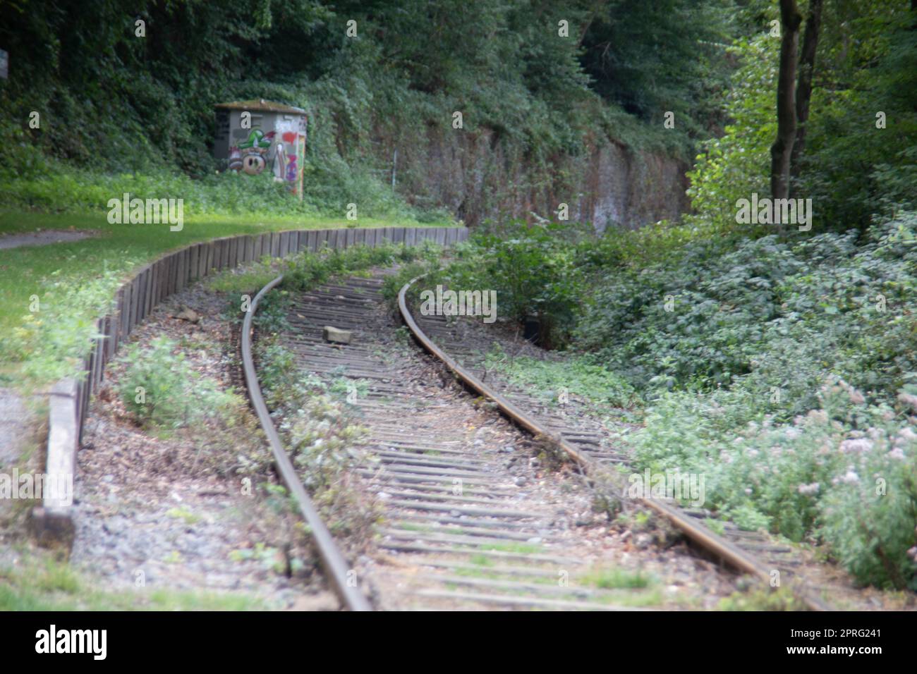 overgrown disused railway line in the Ruh area Stock Photo - Alamy