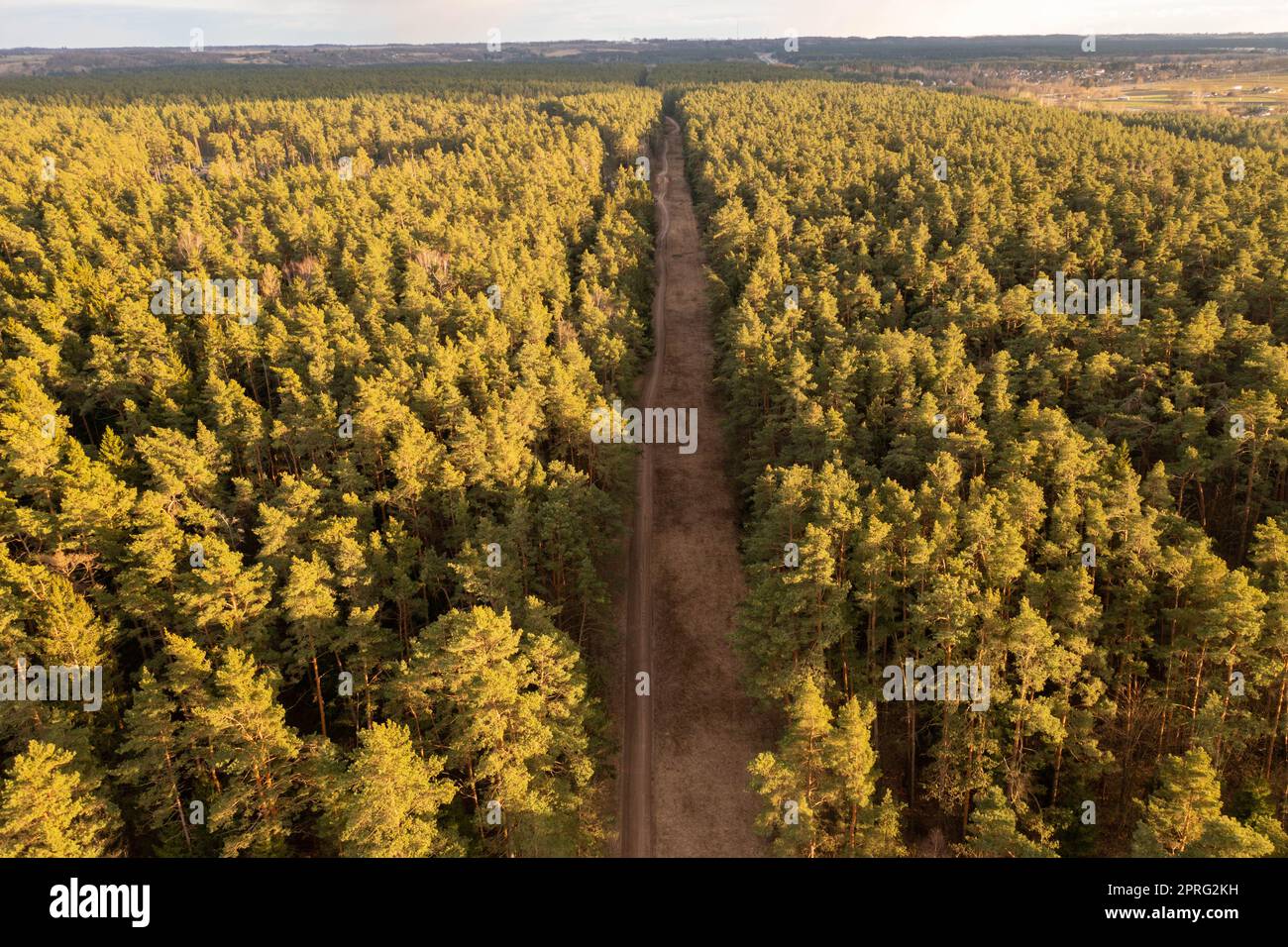 Aerial drone view lush pine hi-res stock photography and images - Alamy