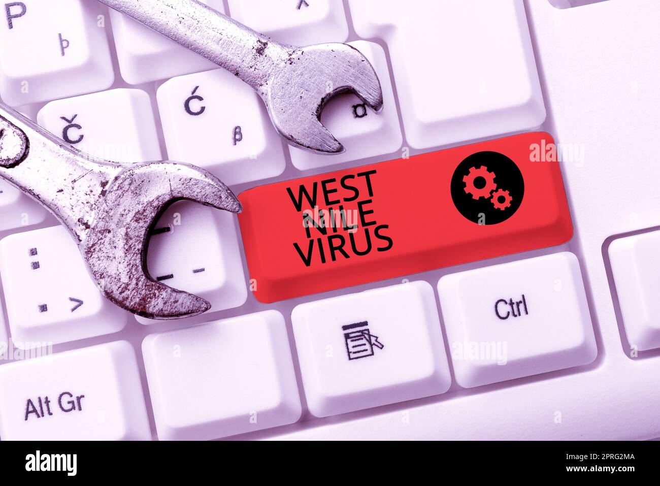 Conceptual caption West Nile Virus. Word for Viral infection cause ...