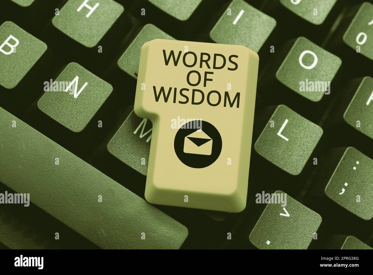 Sign displaying Words Of Wisdom. Business showcase Expert advices ...