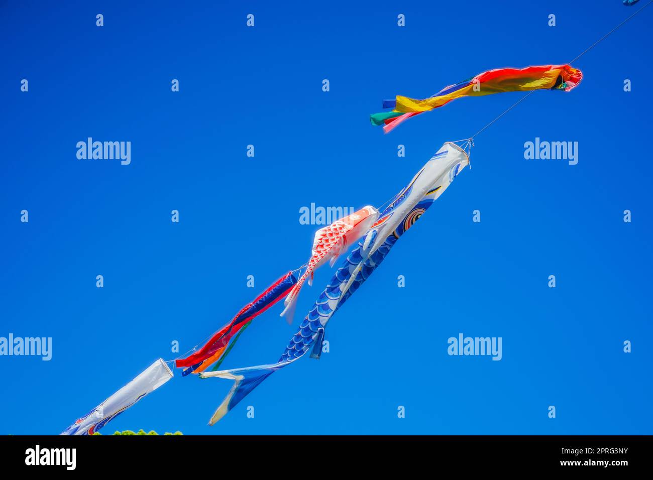 Blue sky and carp streamer Stock Photo - Alamy